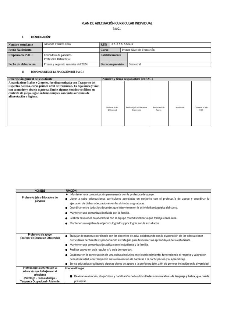 Formato PACI | PDF