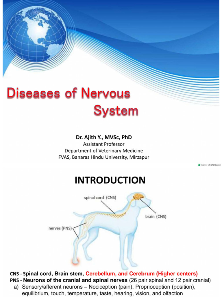 Diseases of Nervous System by Ajith | PDF