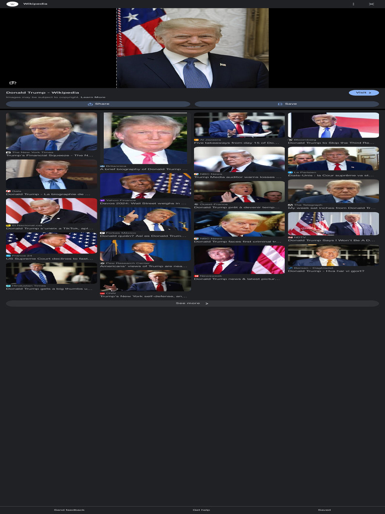 Donald Trump - Google Search | PDF