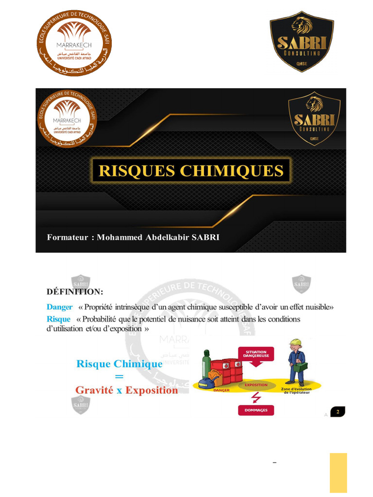 Risques Chimiques 2024 | PDF