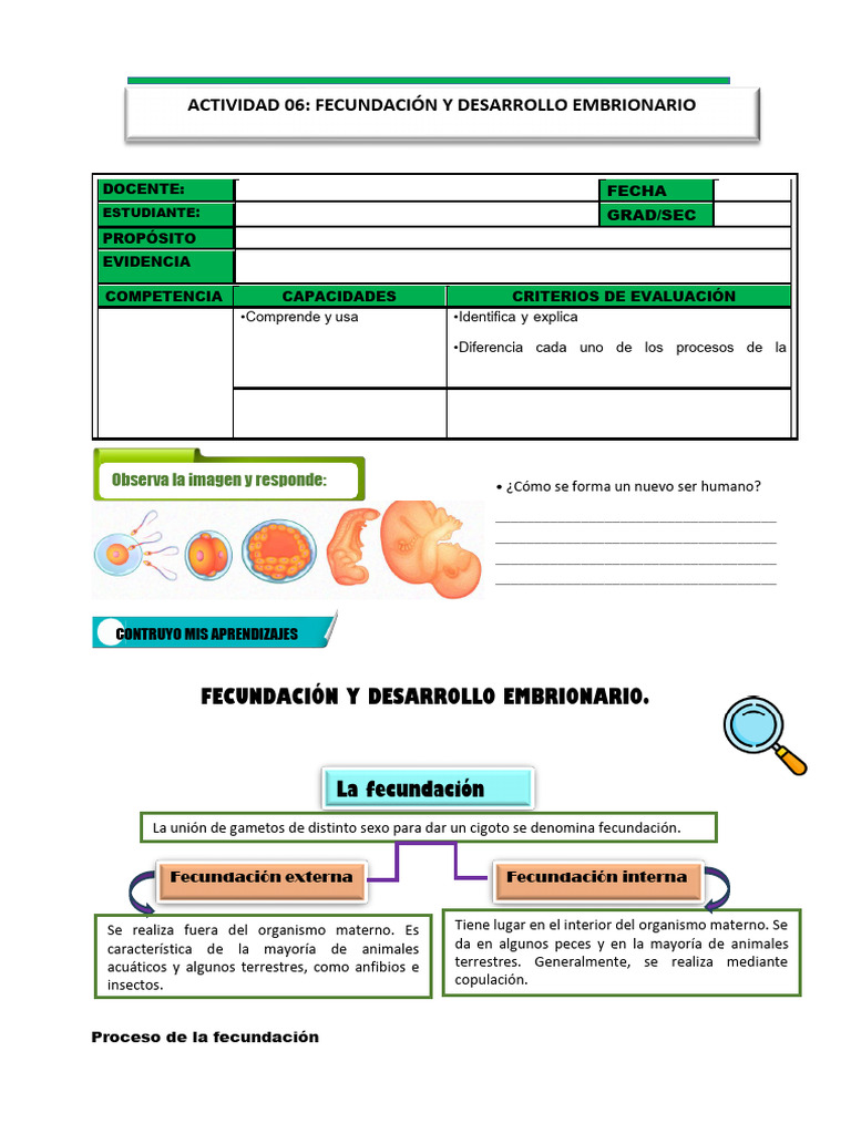 C 4º Act 6 Cyt Und 5 | PDF