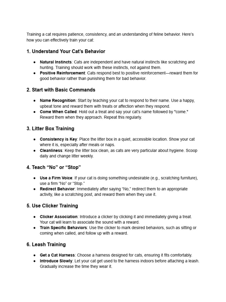 Train Your Cat | PDF
