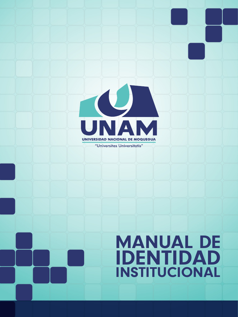 MANUAL_DE_IDENTIDAD_INSTITUCIONAL | PDF