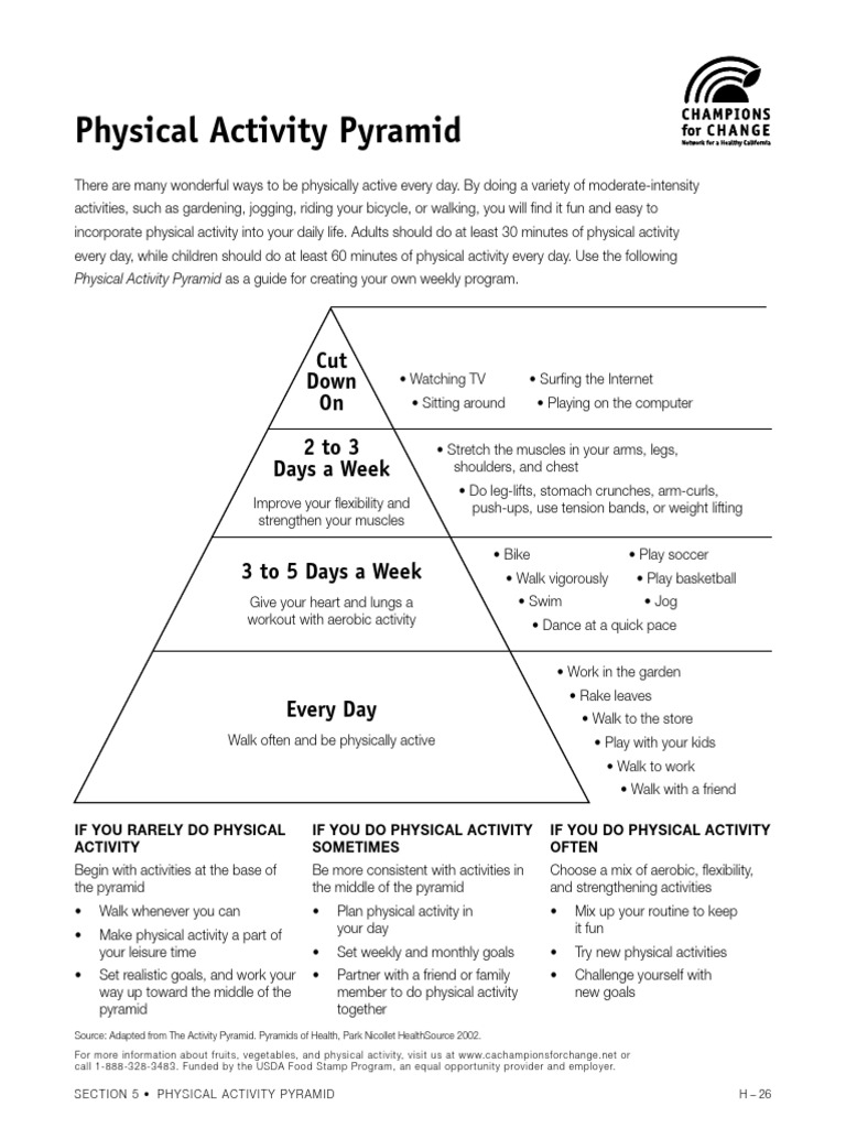 Physical Activity Pyramid | PDF | Physical Fitness | Wellness