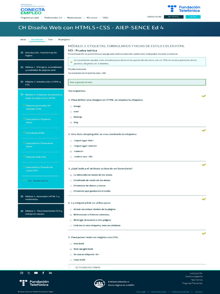 M Dulo 3. Etiquetas Formularios y Hojas de Estilo CSS en HTML PDF | PDF