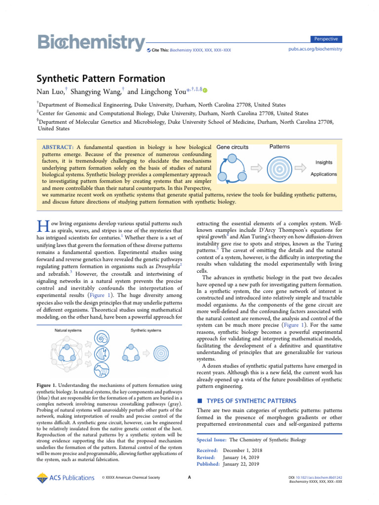 Synthetic Pattern Formation | PDF
