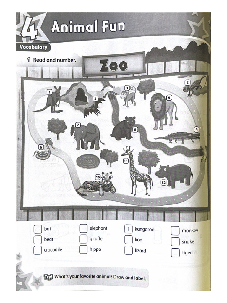 Workbook Unit 4 - Animal Fun | PDF