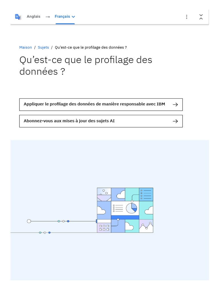 Qu'Est-ce Que Le Profilage Des Données - IBM | PDF
