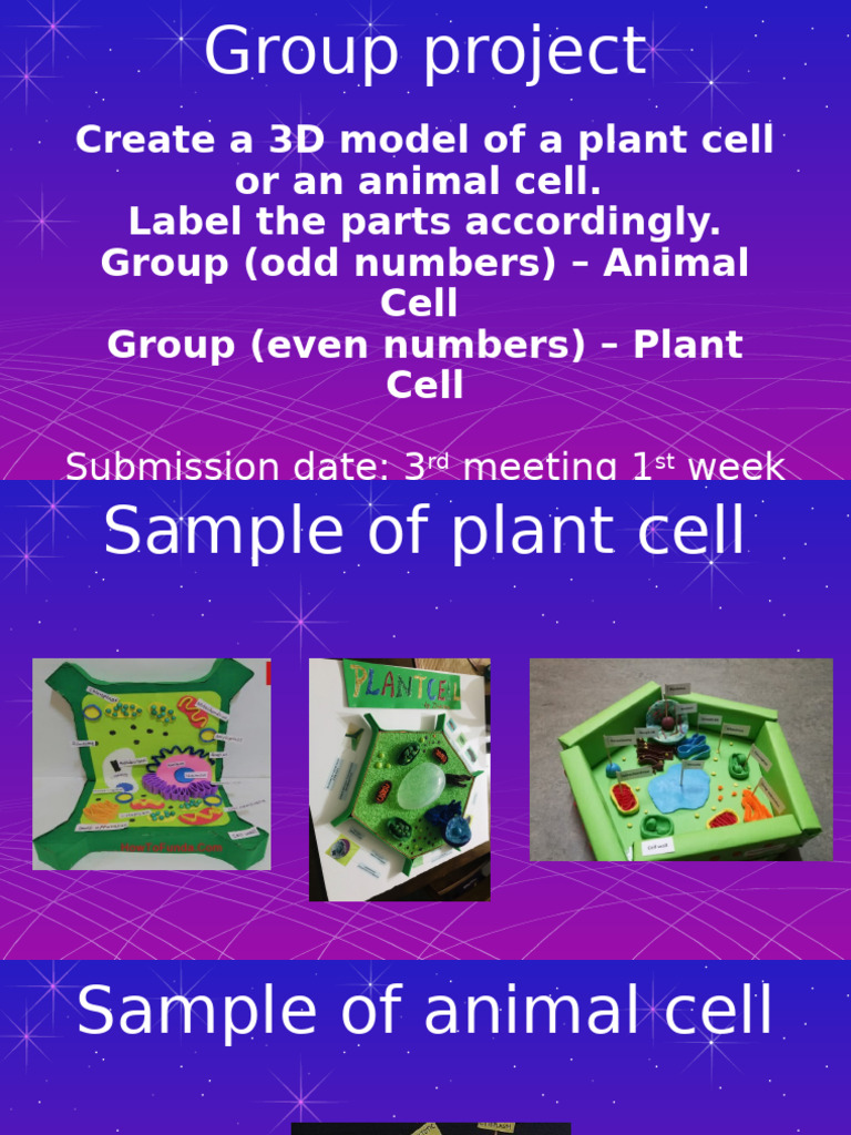 Group Project (1) | PDF