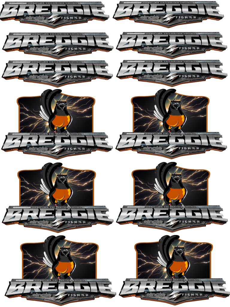 DTF Breggie | PDF