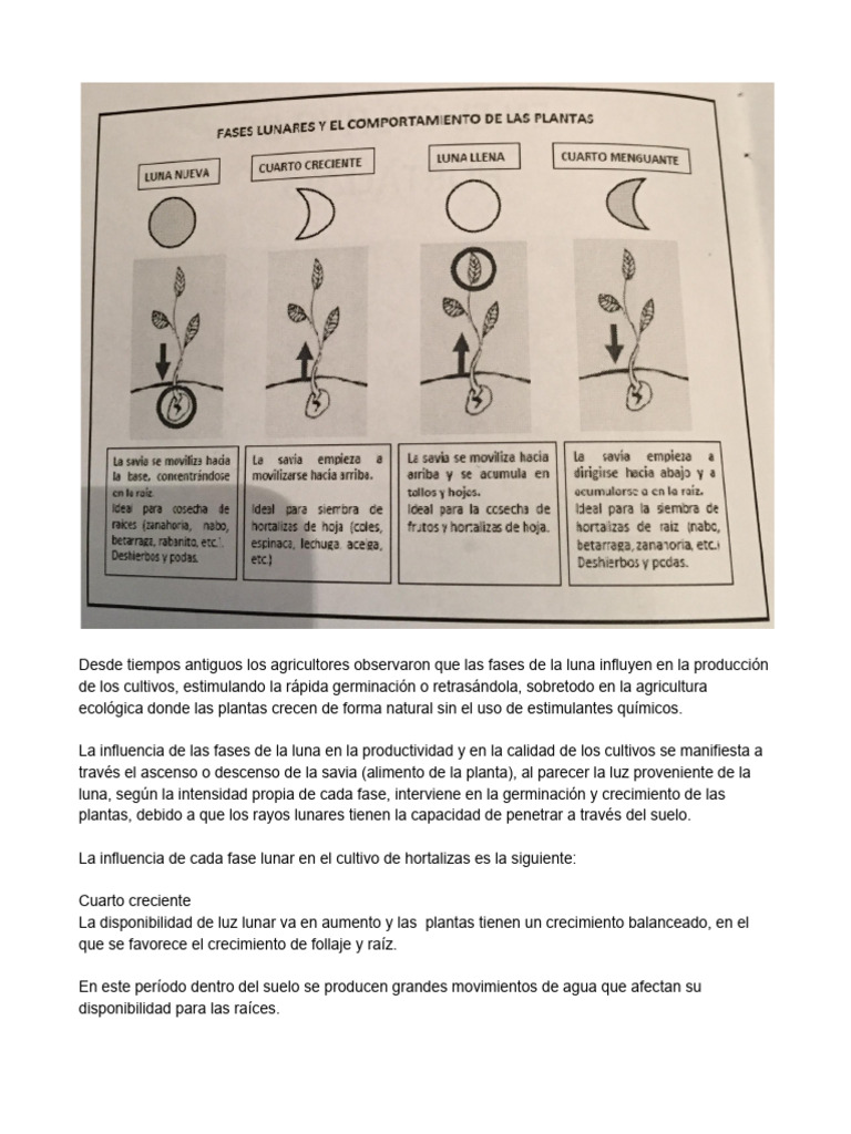 La Luna y Su Influencia en El Cultivo de Hortalizas | PDF | Agricultura | Ciencia y matemáticas