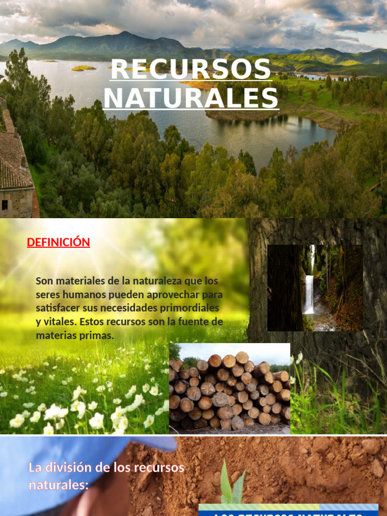 RECURSOS NATURALES | PDF
