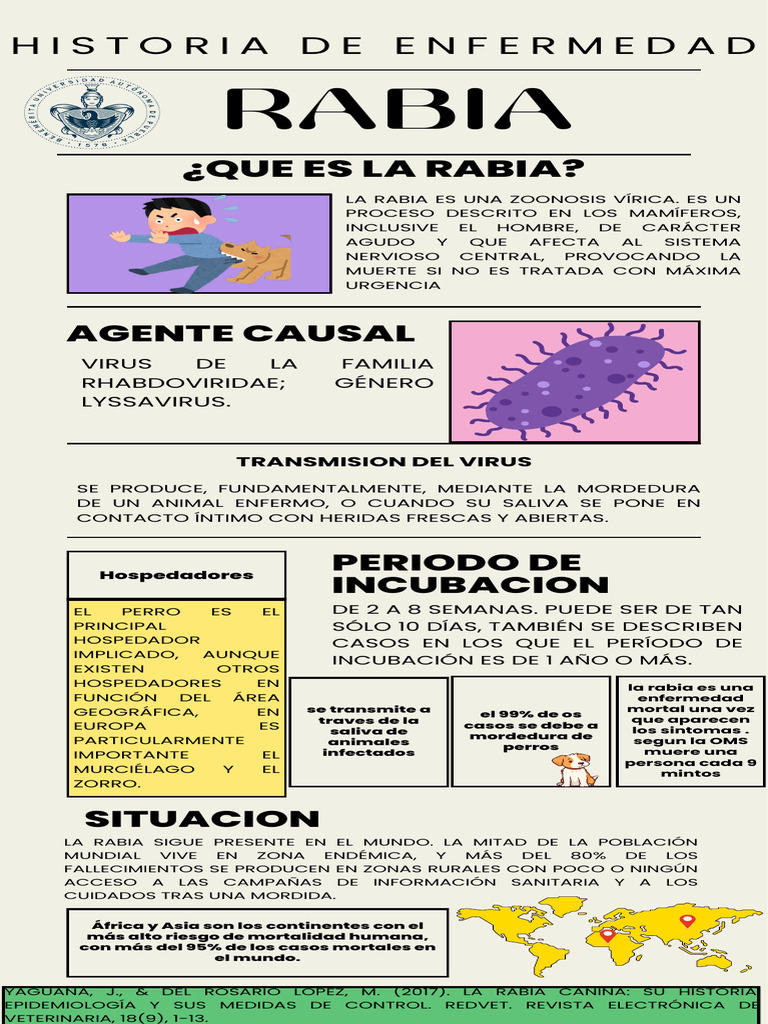 Historia de La Enfermedad de La Rabia | PDF | Rabia | Enfermedades virales