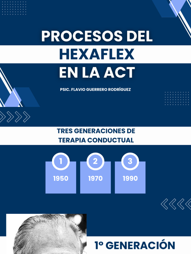 Procesos Del Hexaflex en La ACT | PDF