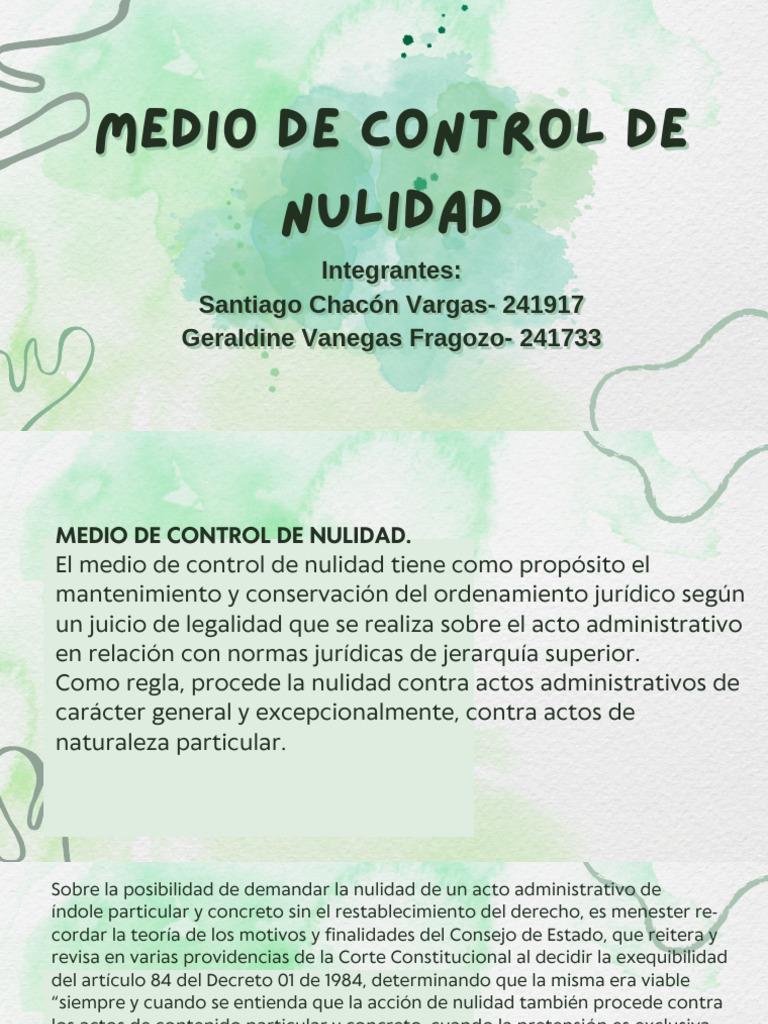 Control de Nulidad | PDF