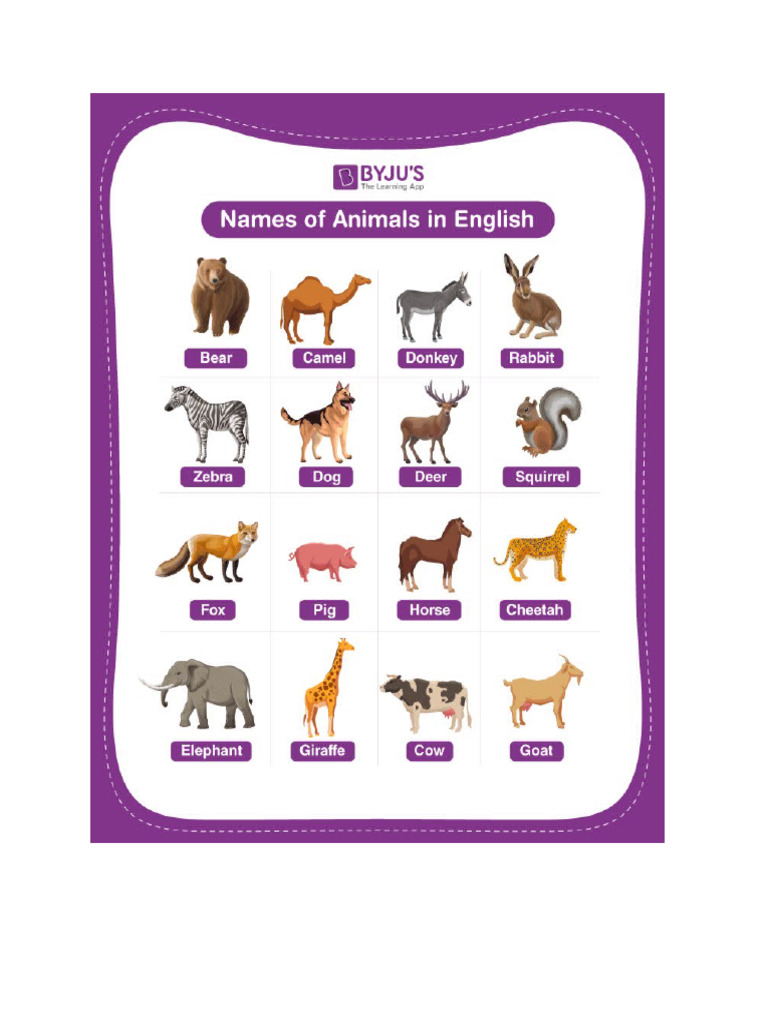 Animals Class 1 | PDF