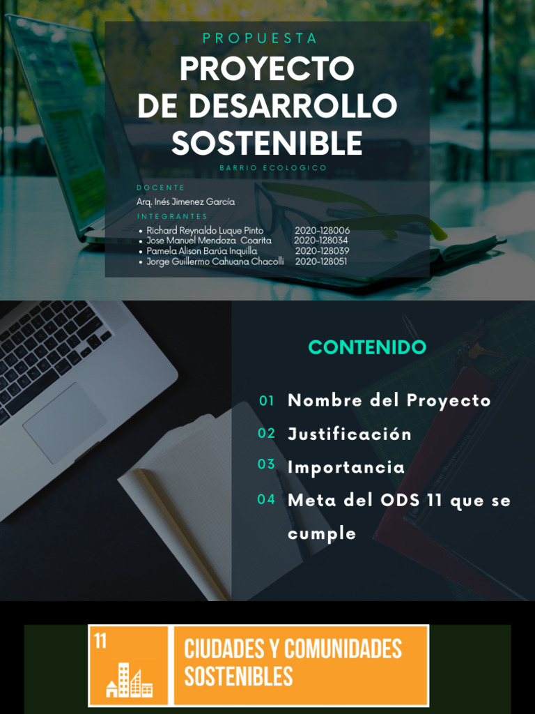 Proyecto de Desarrollo Sostenible | PDF