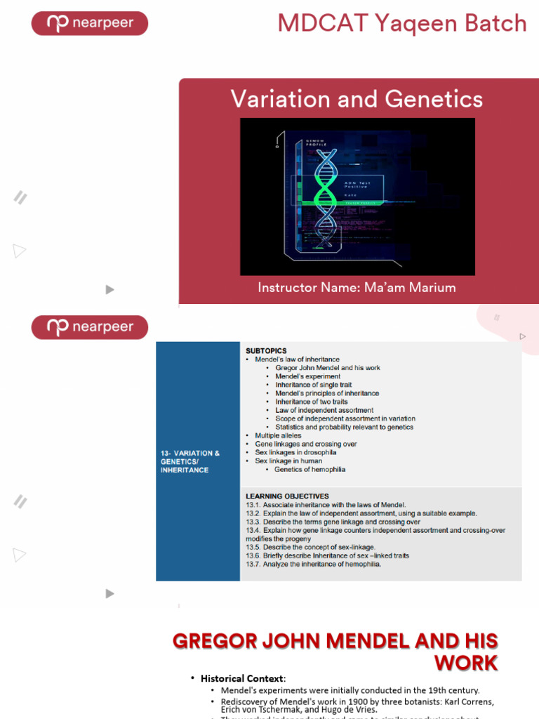 Mendelian Genetics and Inheritance Principles | PDF | Dominance ...