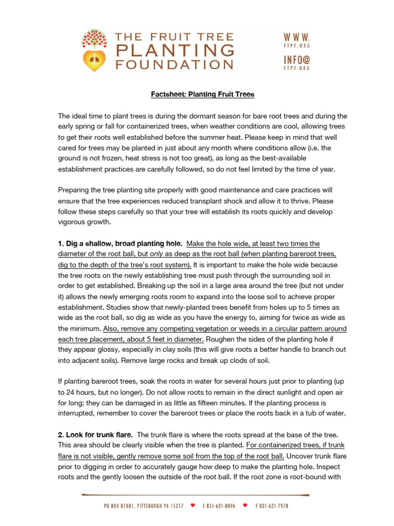 Tree Planting Fact Sheet | PDF