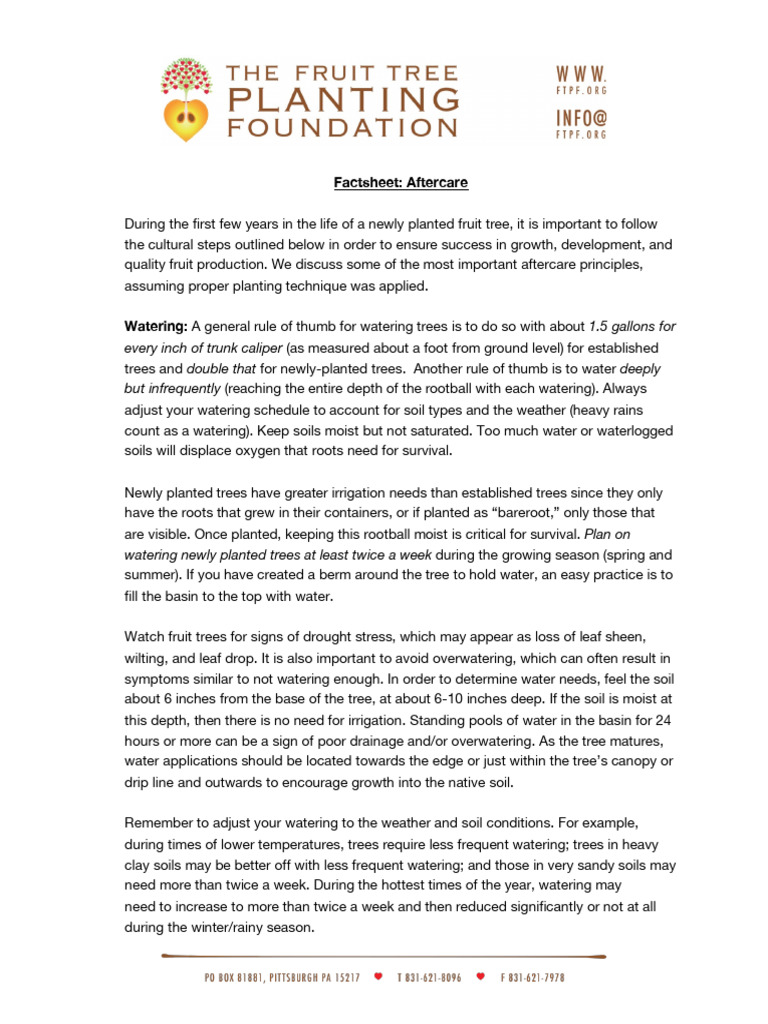 After Care Fact Sheet | PDF