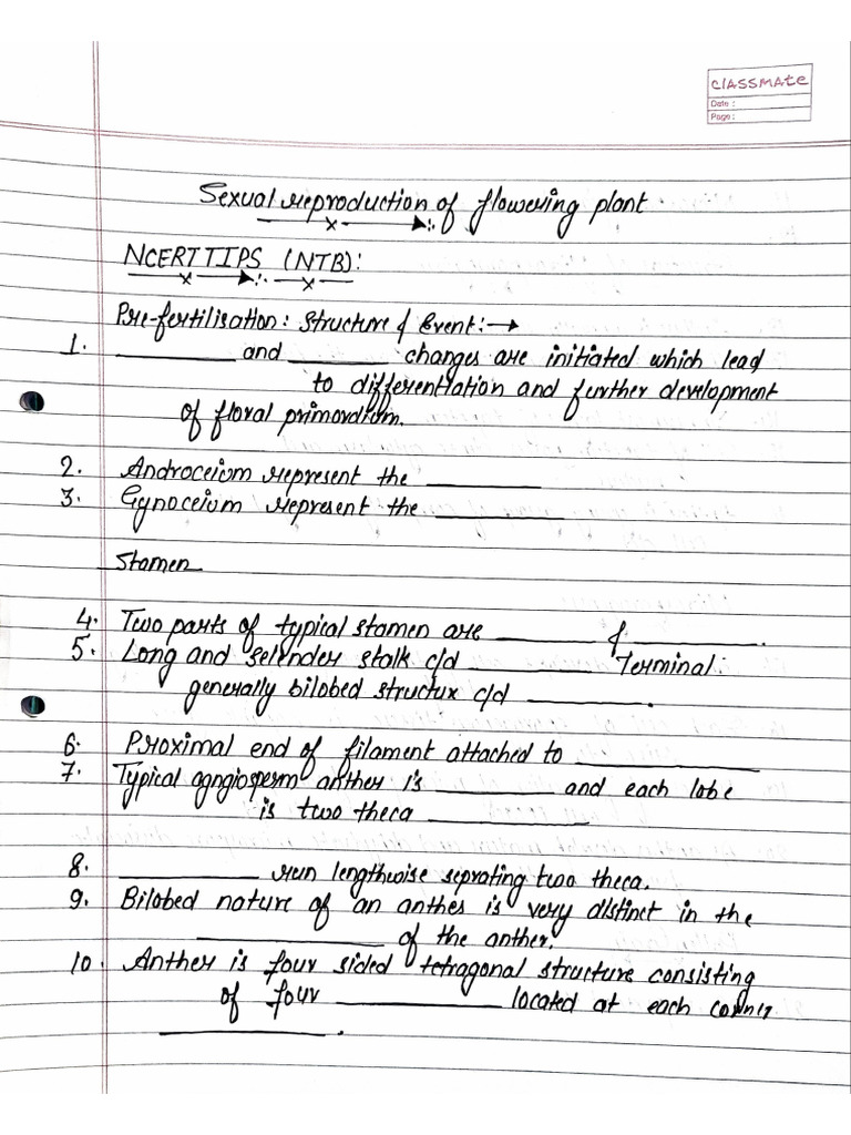 NTB-1 (Sexual Reproduction Flowering Plant) | PDF
