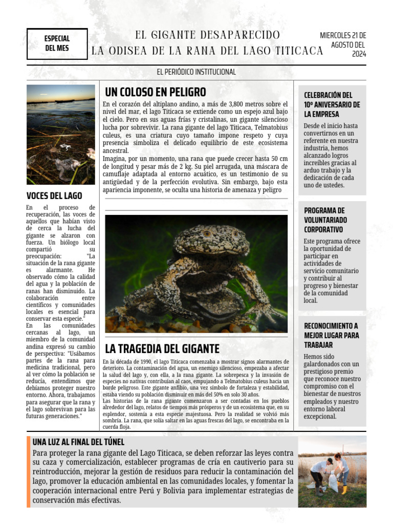 Periódico Reporte Corporativo Blanco y Gris (1) SDSD | PDF