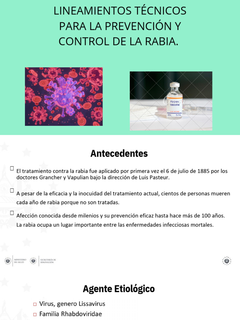 Lineamientos Tecnicos para La Prevencion y Control de La Rabia (1) .PDF 20240818 215034 0000 | PDF