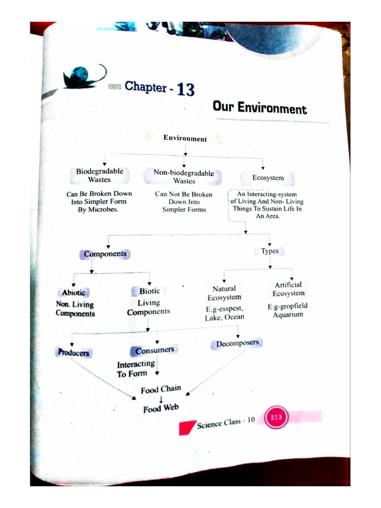 Ch-13 Our Environment Class - X | PDF