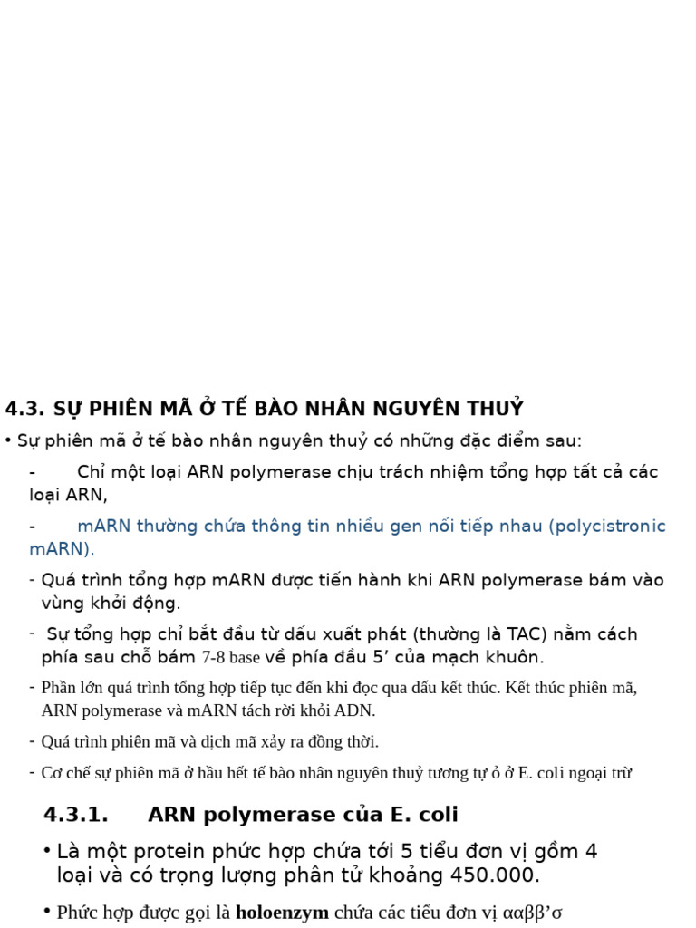 Phiên Mã + Sinh T NG H P Protein | PDF