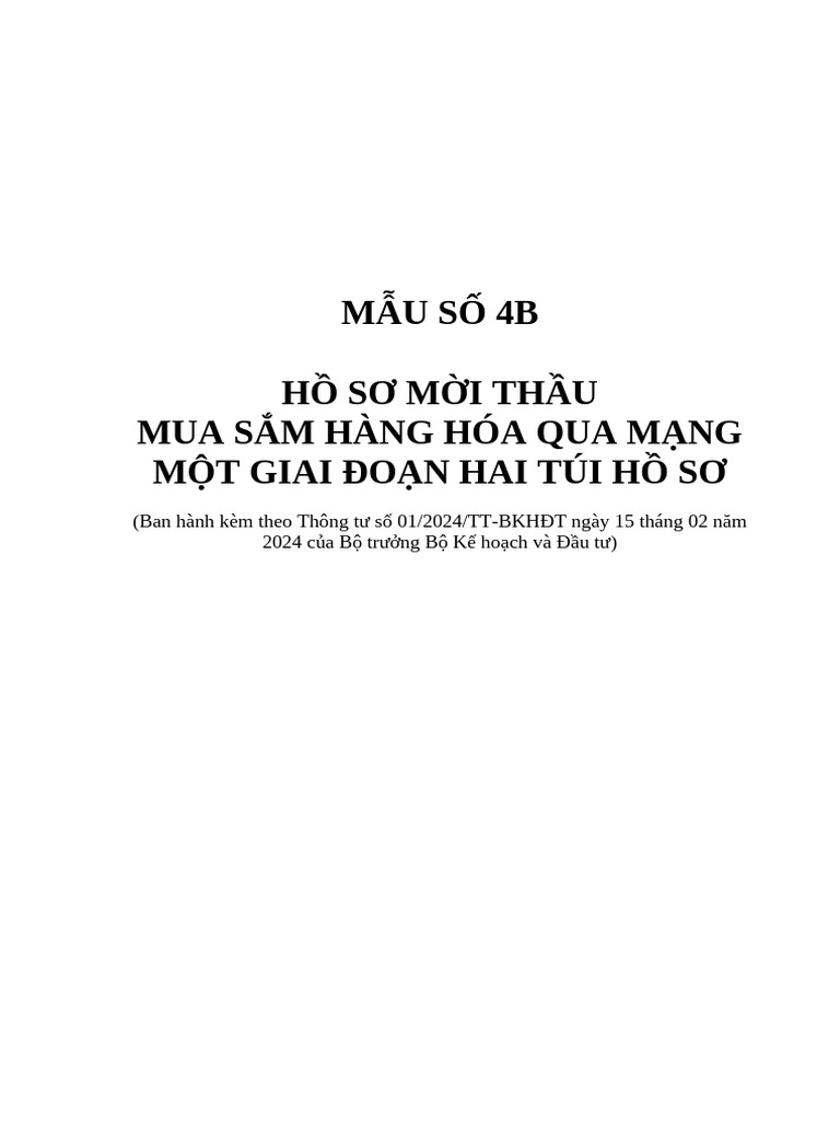 Mẫu Số 4B E-HSMT Hàng Hóa 2 Túi | PDF