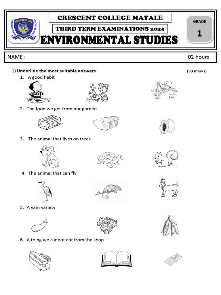 Env Grade1 3rd Term Exam 2023 PDF | PDF