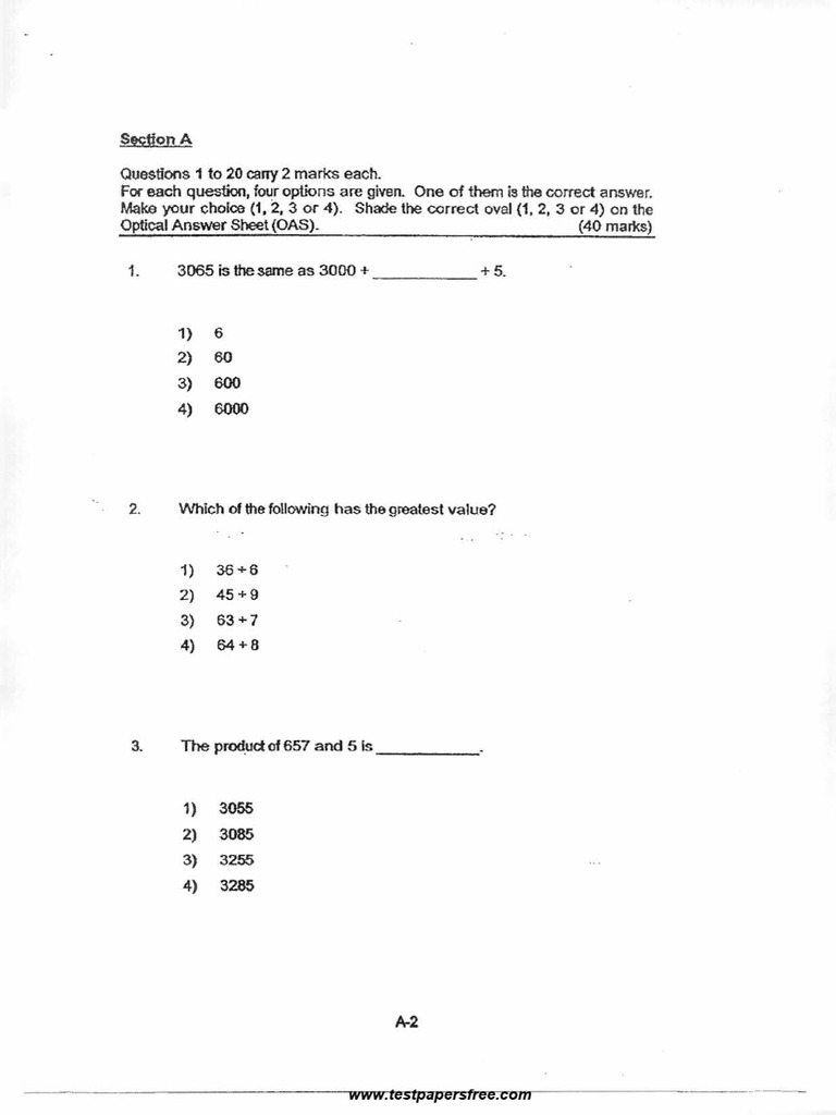 P3 Math AEIS 5 | PDF