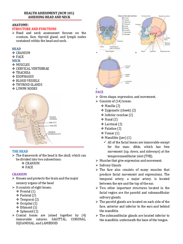 Assessing Head, Neck and Eyes Notes | PDF