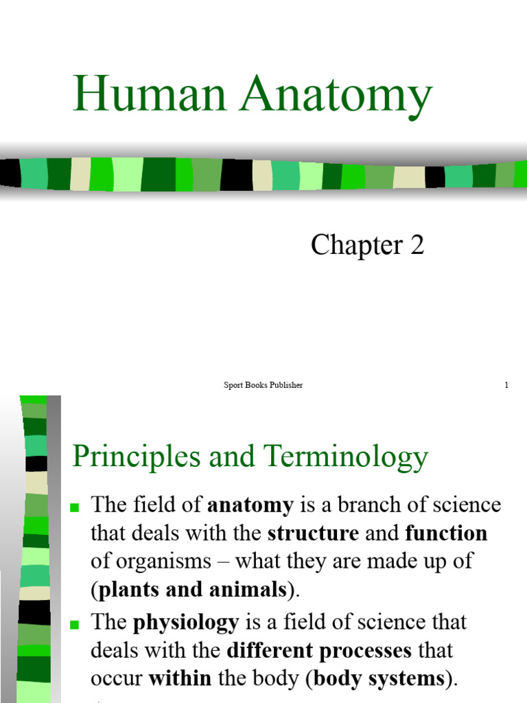 Human Anatomy - Chapter 2 | PDF | Anatomical Terms Of Location ...