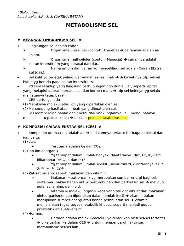 Metabolisme Sel | PDF