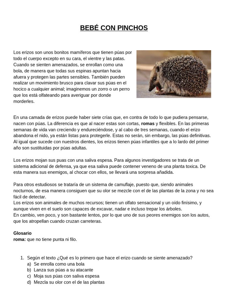 BEBÉ CON PINCHOS | PDF