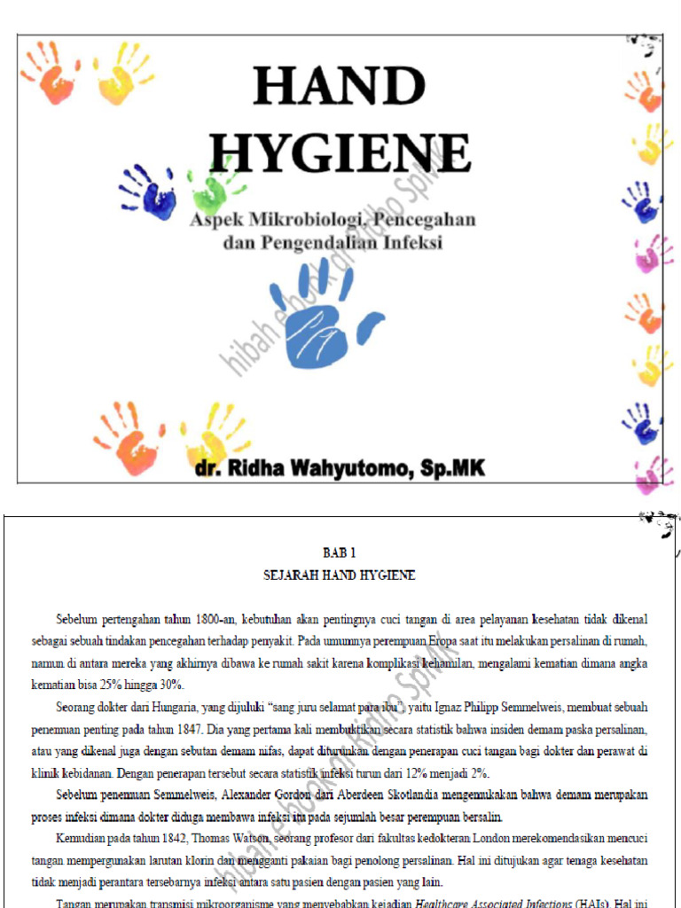 Hand Hygiene | PDF