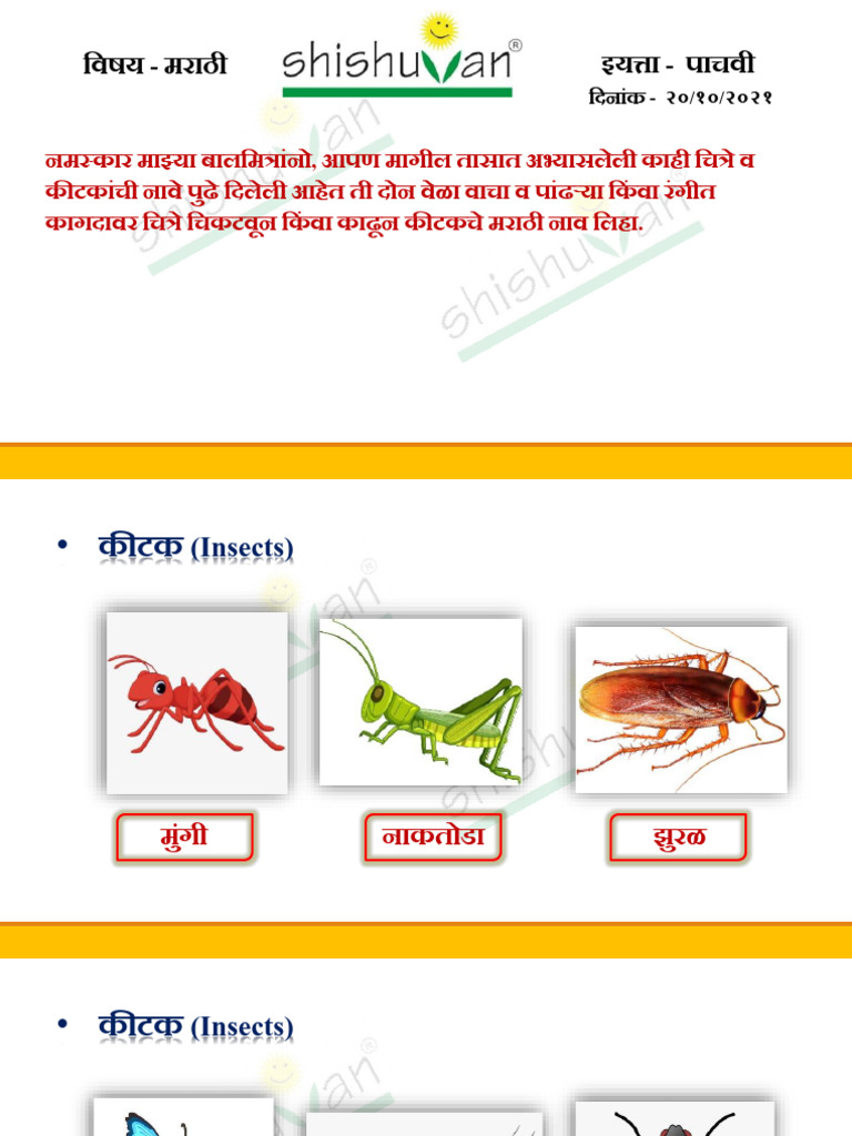 Marathi SLM | PDF