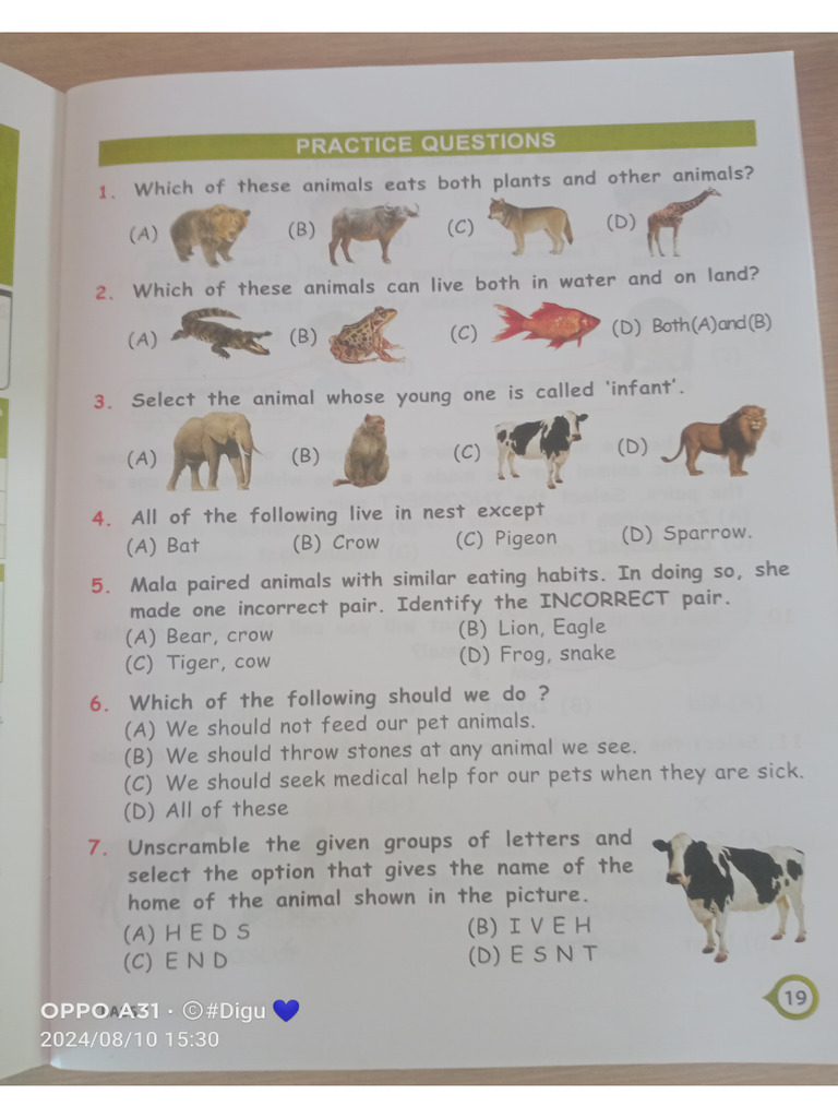 NSO 1st WB Chapter 3 | PDF