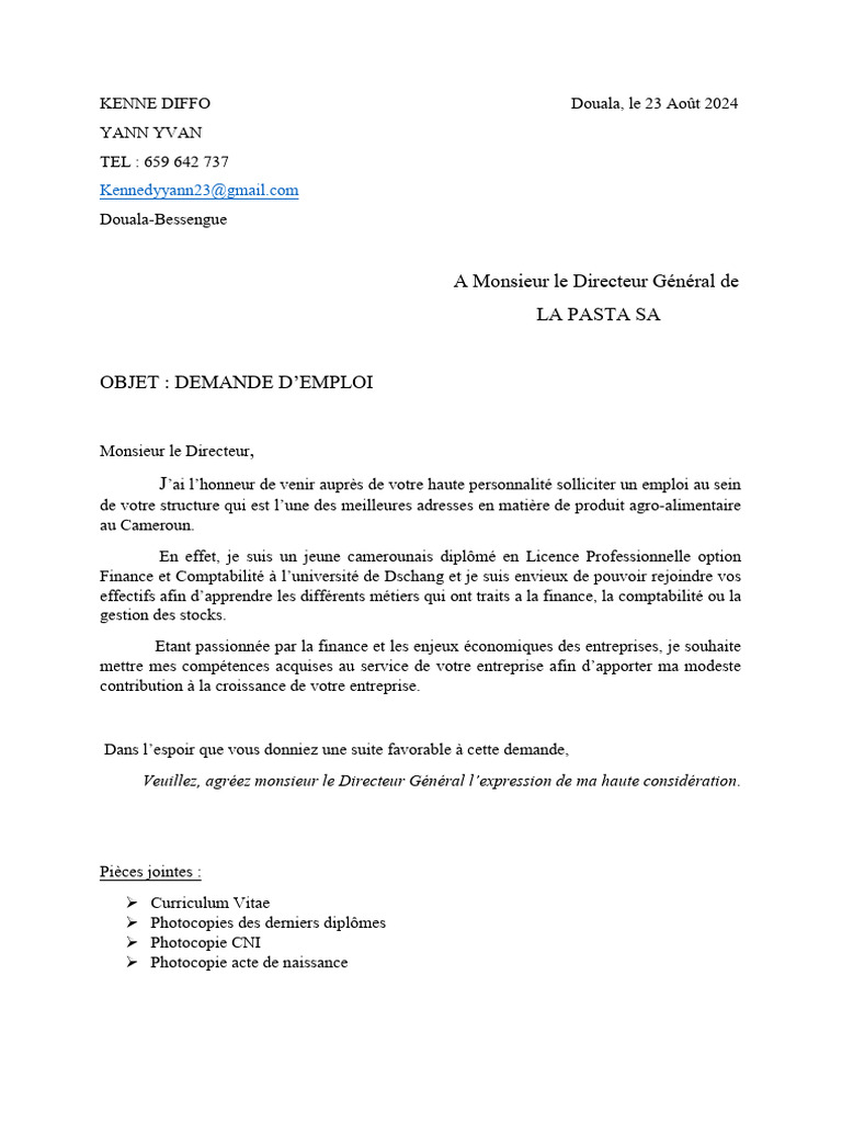 Demande D'emploi | PDF