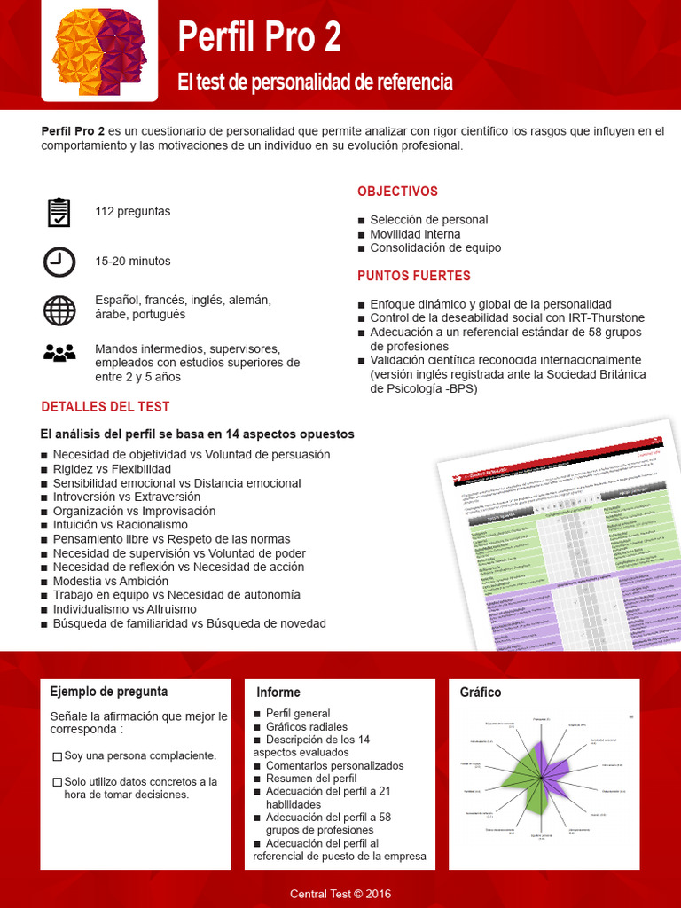 Ficha Perfil-Pro2 | PDF