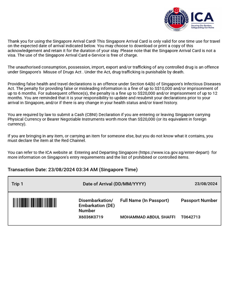 Singapore Arrival Card Guidelines | PDF
