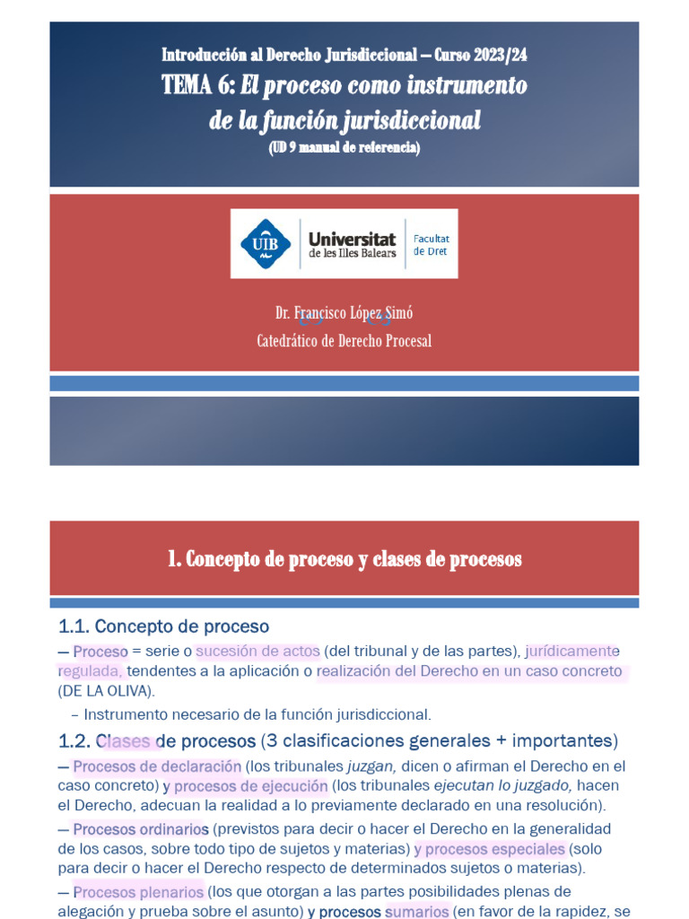 Intro Procesal T6 | PDF