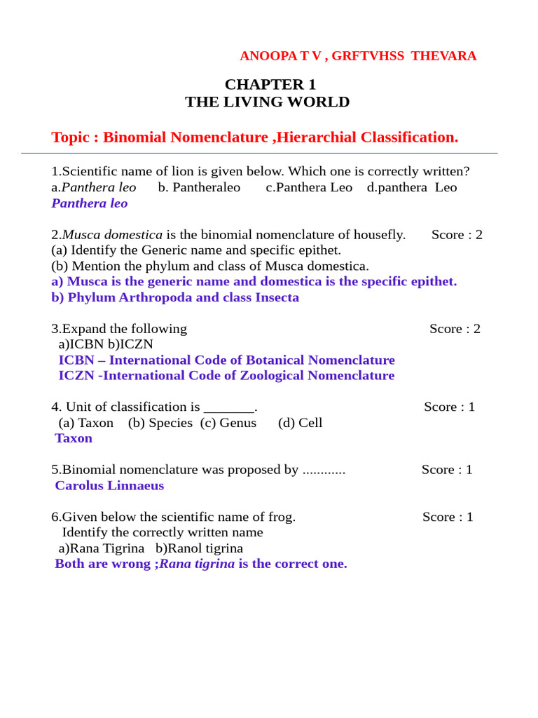 +1 Chapter 1 Worksheet | PDF