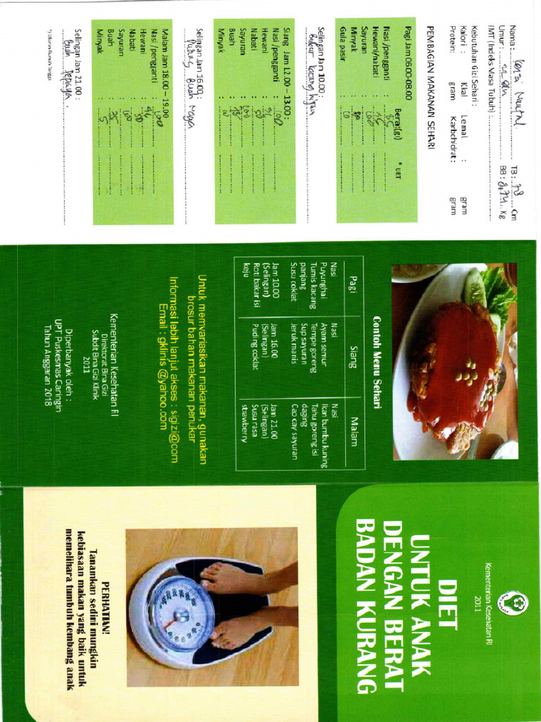 Contoh Leaflet Diet Gizi | PDF