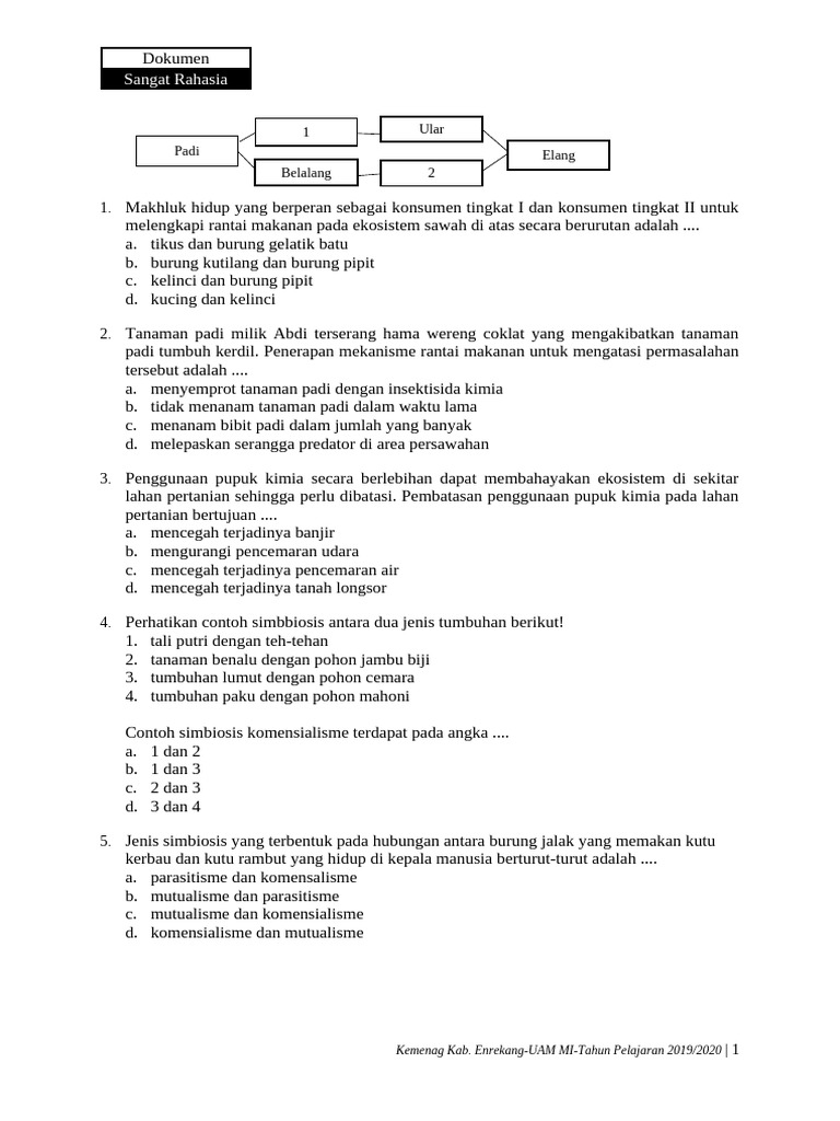 Soal Uam 2019-2020 - Ipa - Ok | PDF