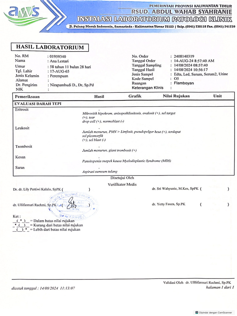 Adt Agustus 2024 Dr Ulli | PDF