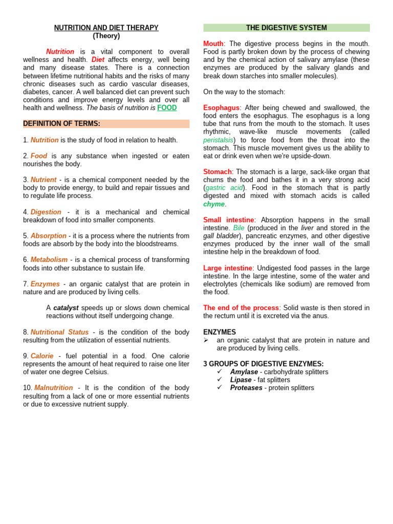 Nutrition and Diet Therapy Theory | PDF | Digestion | Stomach