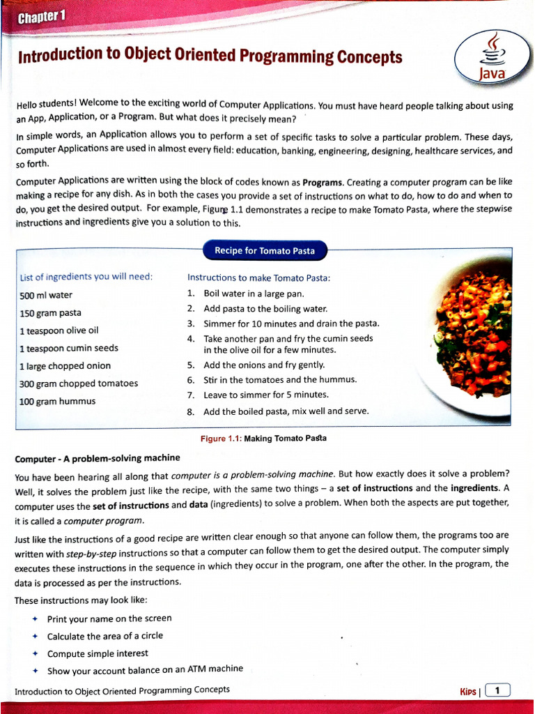 Logix - 1. Introduction To Object Oriented Programming Concept | PDF