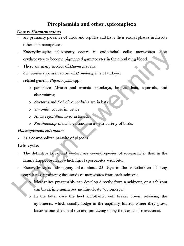 14 Piroplasmida and Other Apicomplexa (AutoRecovered) | PDF